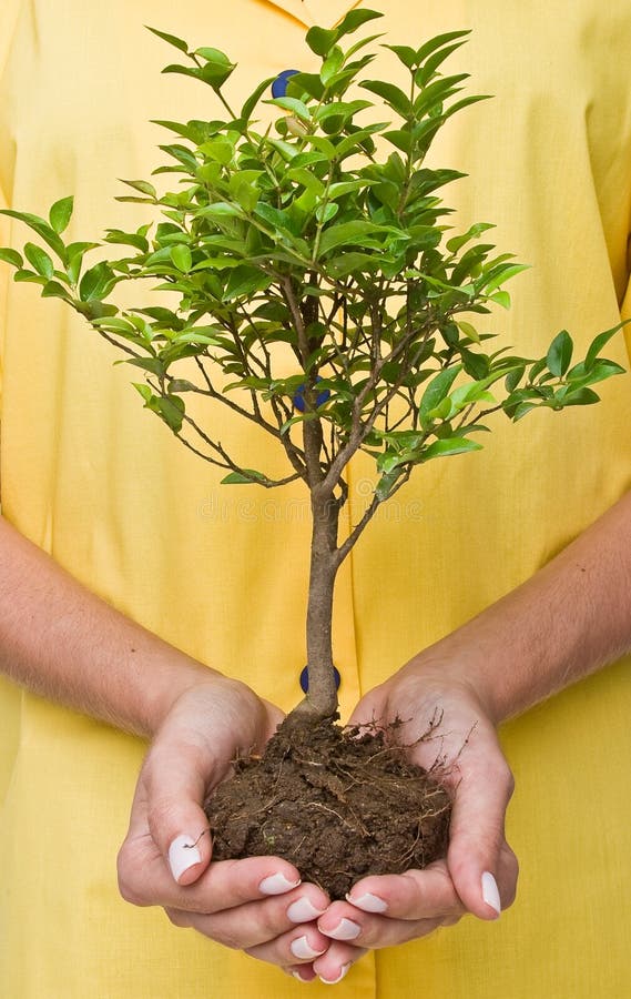 Nurturing nature stock image. Image of develop, caring - 2873975