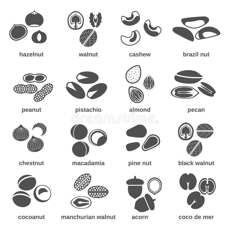 Nuss-Ikonen-Schwarzes vektor abbildung. Illustration von muttern - 60388644