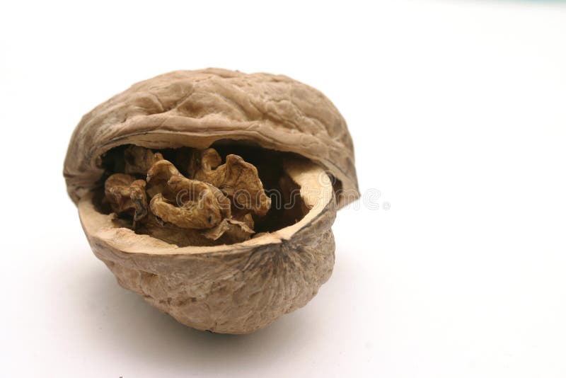 Nut 1 stock photo. Image of hard, food, caloric, calories - 265854