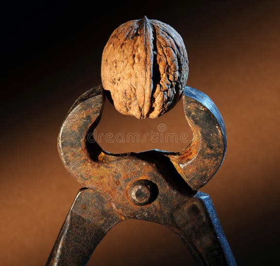 672 Smash Nut Stock Photos - Free & Royalty-Free Stock Photos from ...