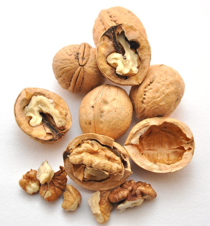 Nut stock image. Image of nutmeat, nutshell, fruits, stone - 23412247