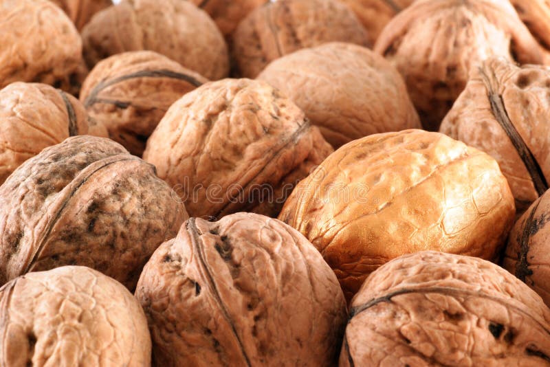 Nuts stock image. Image of almonds, brain, autumn, background - 1656725