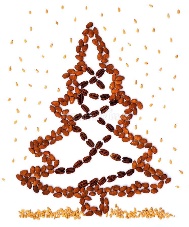 Nut Christmas tree stock photo. Image of plate, almond - 50265800