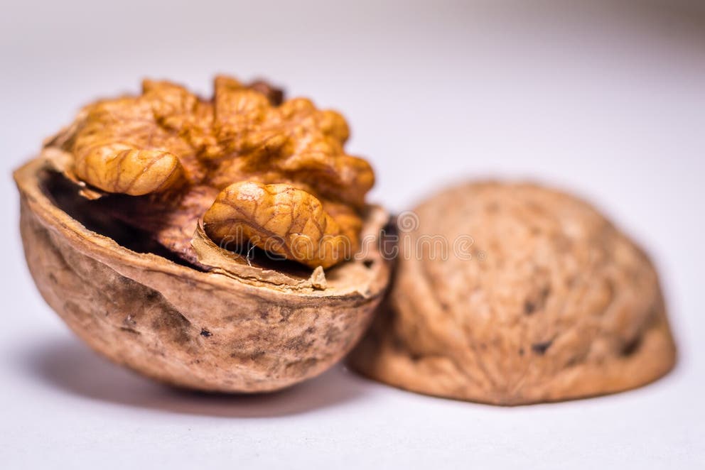 Nut stock photo. Image of edible, horticultural, fruit - 42546870