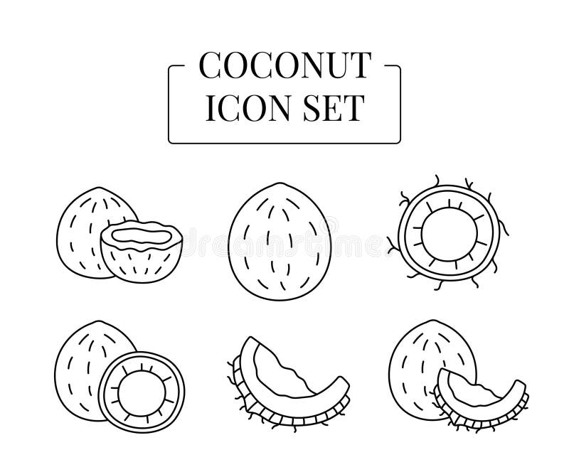 Nut Coconut Whole and Half, Cut into Slices, Set of Line Icons in ...