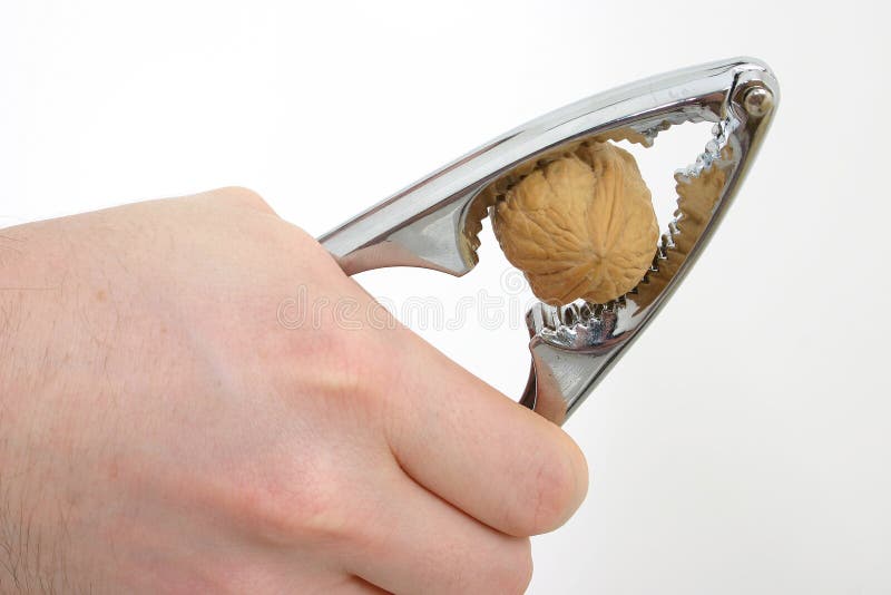 Nut Cracker stock image. Image of silver, food, utnesil - 48141