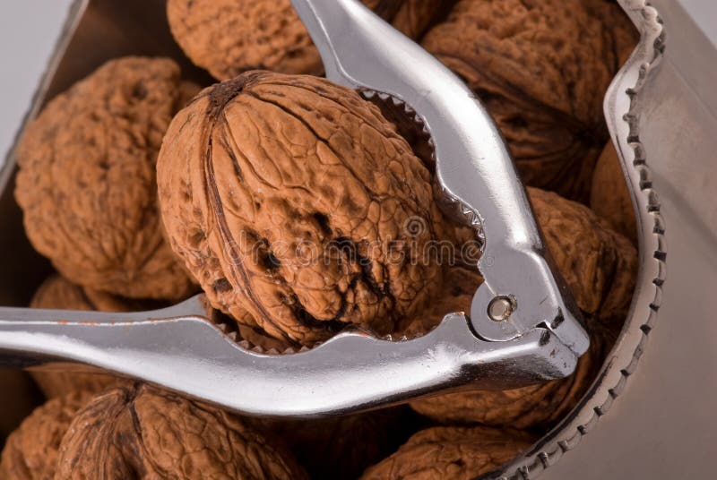 Nut Cracker in Pot Full of Walnuts Stock Photo - Image of metallic ...