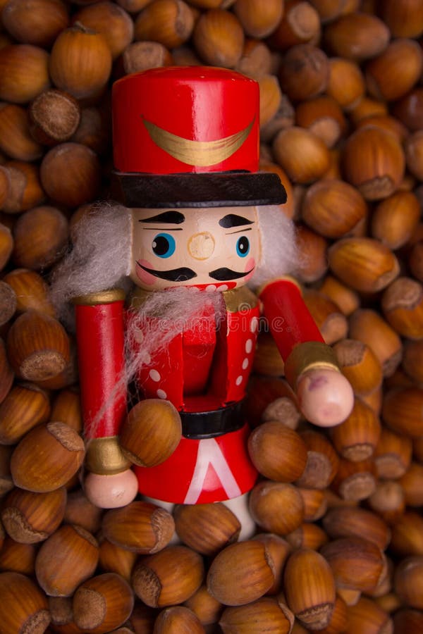 Nut Cracker stock photo. Image of composition, genus, delicious - 7381450