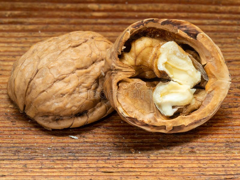 Nut, dried fruit stock image. Image of medium, bright - 174067809