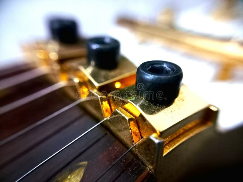 The Nut on an Electric Guitar Functions As a Support for the Strings at ...