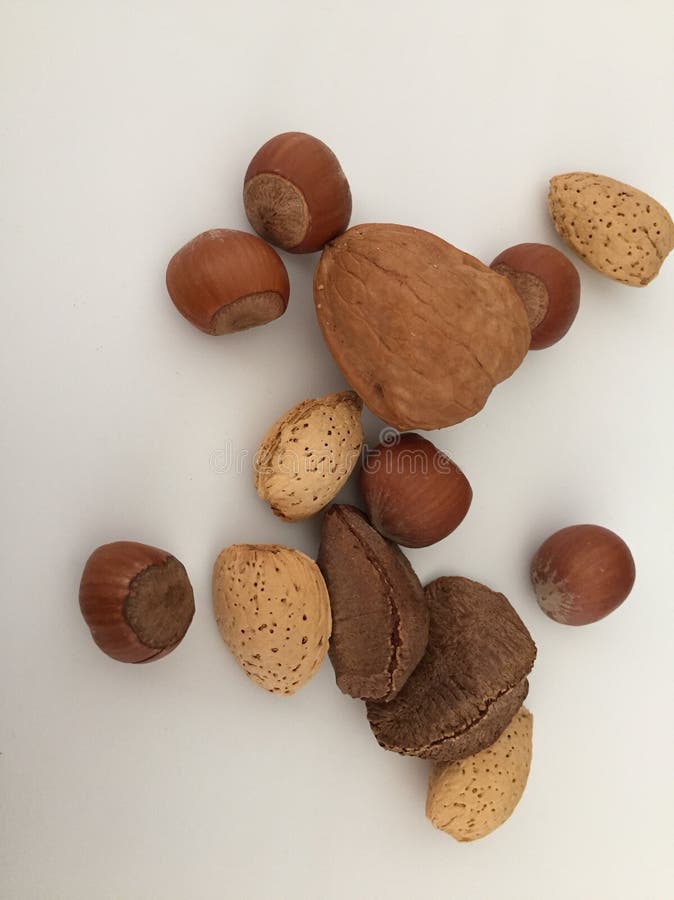 Mix Nuts stock image. Image of seeds, nuts, shell, hard - 117856109