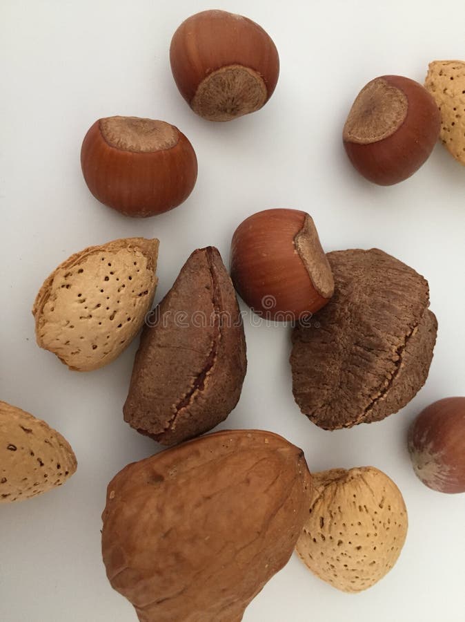 Mix Nuts stock photo. Image of nuts, seeds, composed - 117856110