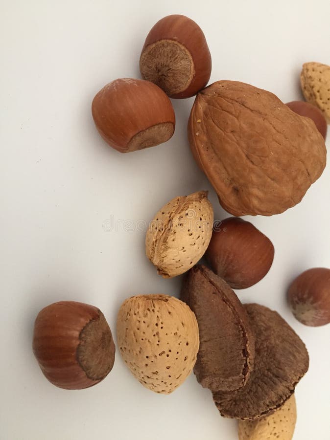 Mix Nuts stock photo. Image of shell, seeds, nuts, fruit - 117856236