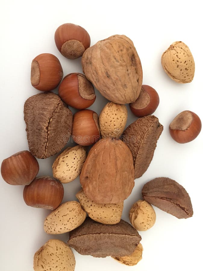 Mix Nuts stock image. Image of nuts, inedible, fruit - 117856413
