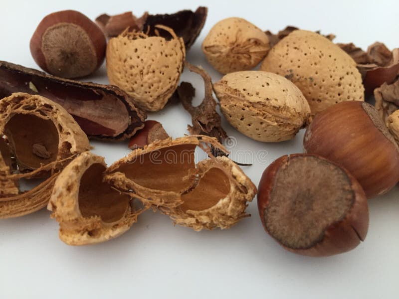 Mixed Nuts stock photo. Image of nuts, hard, fruit, inedible - 117861210