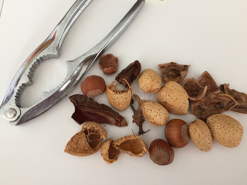 Mixed Nuts stock photo. Image of inedible, mixed, composed - 117871582