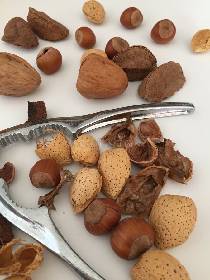 Mixed Nuts stock photo. Image of inedible, nuts, mixed - 117871782