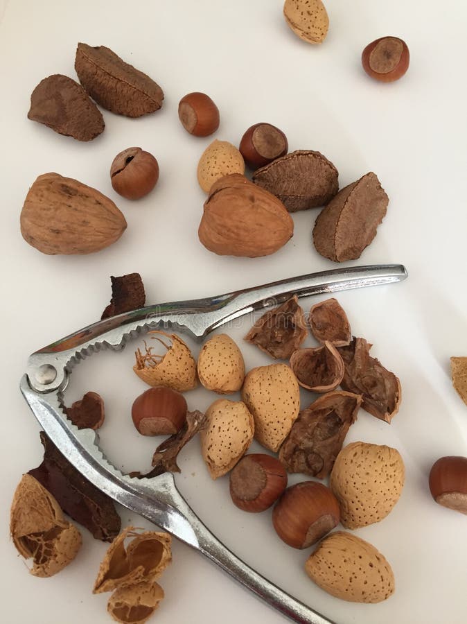 Mixed Nuts stock photo. Image of seeds, inedible, fruit - 117871820