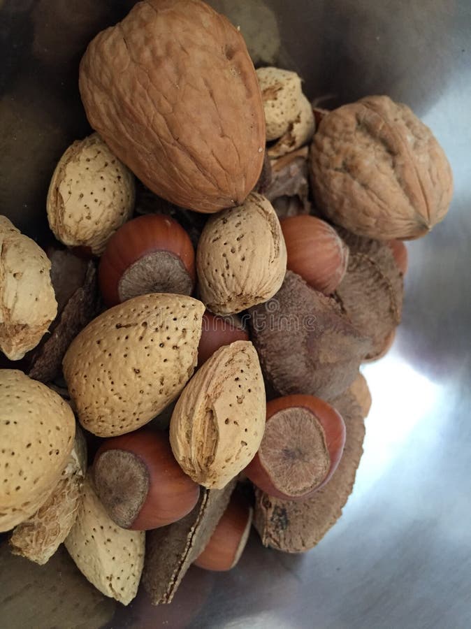 Mixed Nuts stock photo. Image of edible, hard, mixed - 117872206
