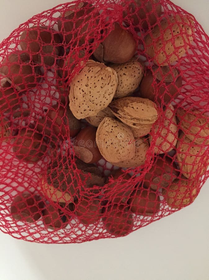Mixed Nuts stock photo. Image of inedible, fruit, shell - 117872458