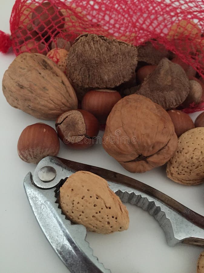 Mixed Nuts stock photo. Image of fruit, seeds, composed - 117908358