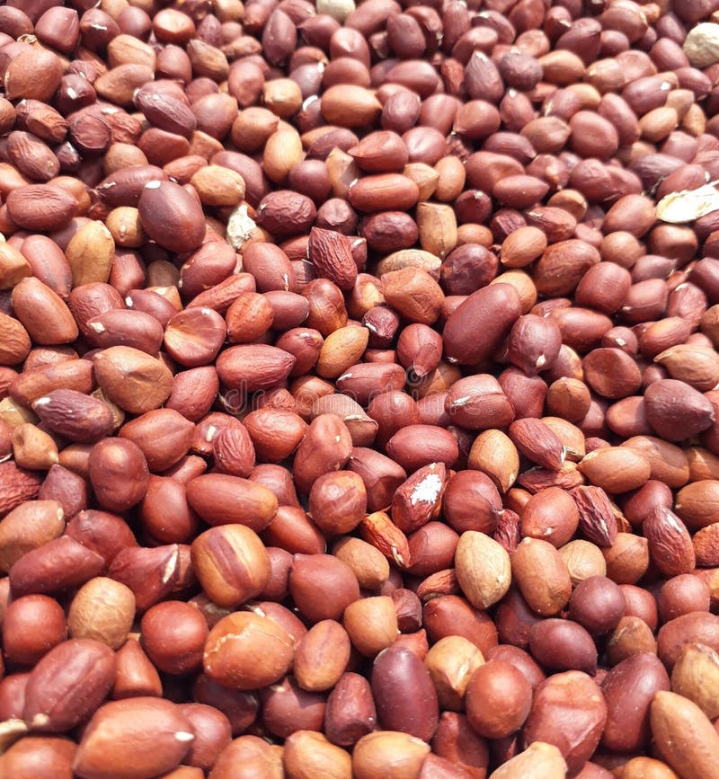 A Nut is a Fruit Consisting of a Hard or Tough Nutshell Protecting a ...