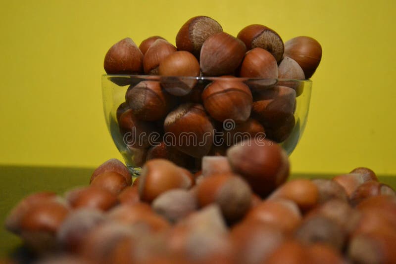 Nut is a Greasy but Useful Food. Stock Image - Image of nutshell, flat ...