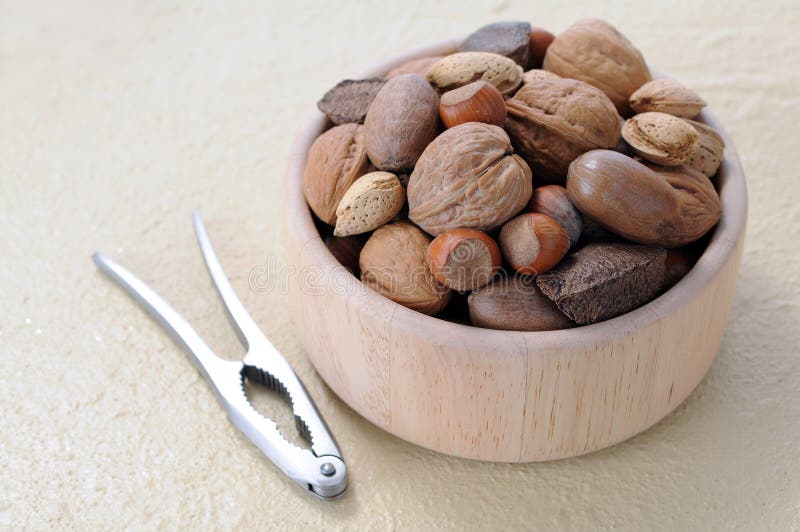 Nut in hard shell stock photo. Image of hard, edible - 35766170