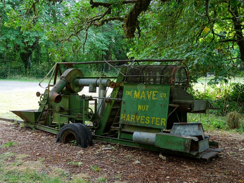 Nut harvester editorial image. Image of metal, filberts - 120927660