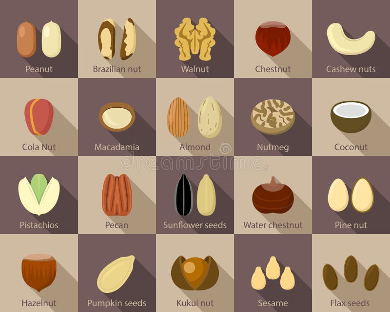 Nut icon set, flat style stock vector. Illustration of design - 135136647