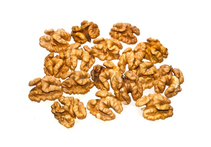 Nut Isolated on White Background Stock Photo - Image of protein, fresh ...