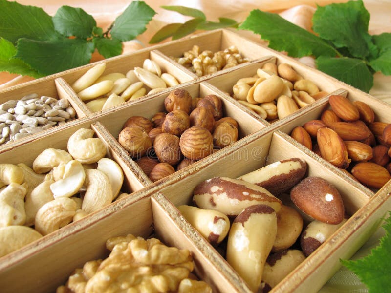 Nut mix stock photo. Image of collection, brazil, cashew - 25132550