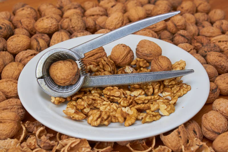 Nut Peeling Tool,walnuts and Nutcracker for Shell Cleaning Stock Photo ...
