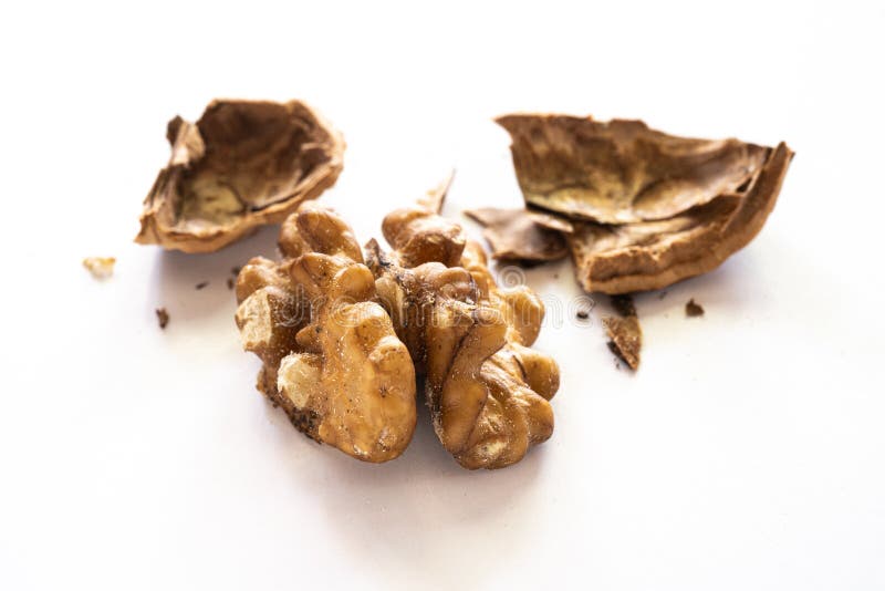 Nut with Its Shell Isolated in a White Background Stock Image - Image ...