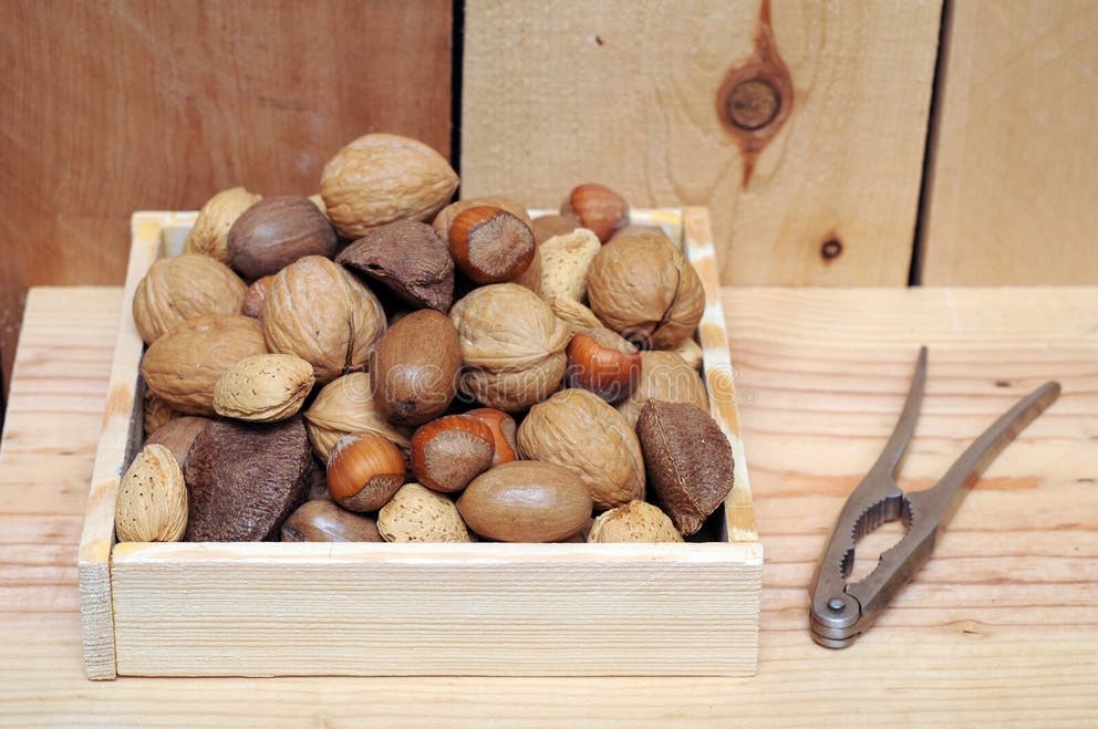 Nut in shell stock photo. Image of hard, pile, almond - 35031596