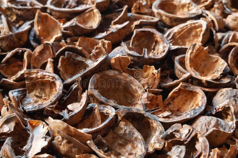 Nut Shell. Empty Walnut Shell Background. Nuts Texture. Selective Focus ...