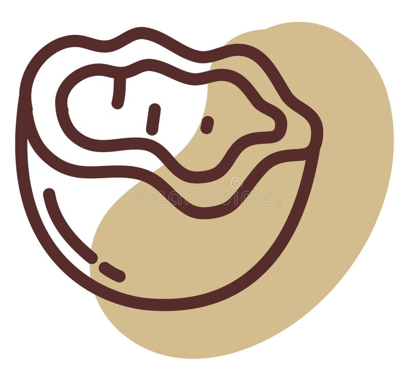 Nut shell, icon stock vector. Illustration of butter - 261076828