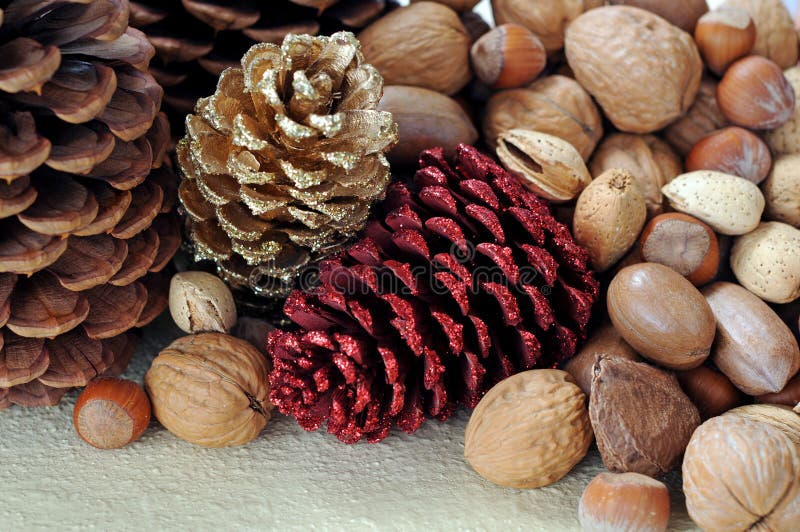 Nut in shell stock image. Image of group, pecan, pile - 35026647