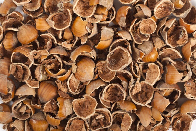 Nut shells stock image. Image of pattern, food, wallpaper - 21856799