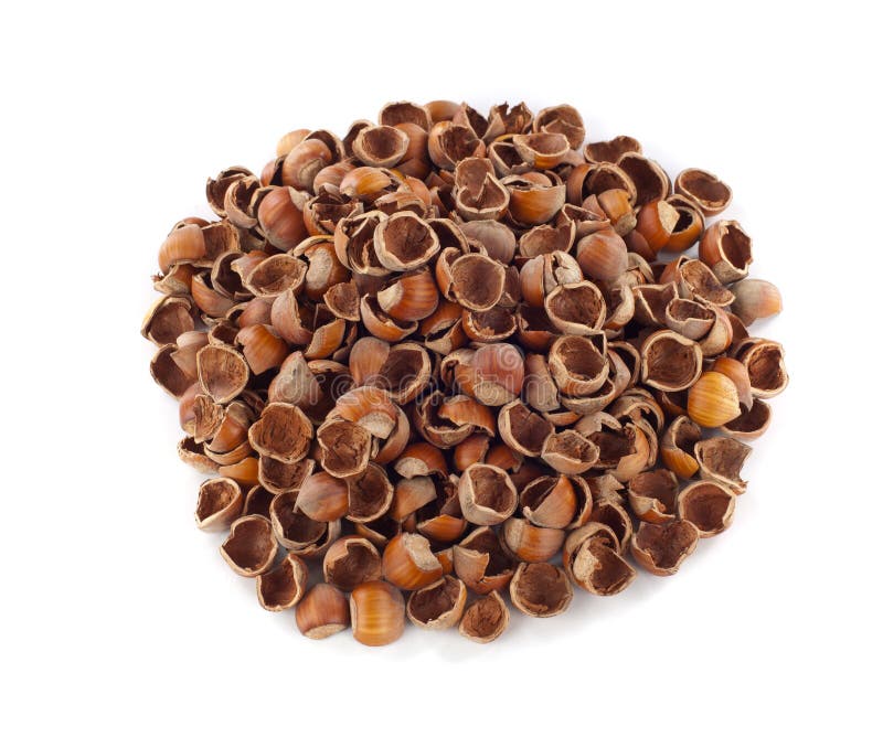 Nut shells stock photo. Image of filbert, shell, walnut - 30185826