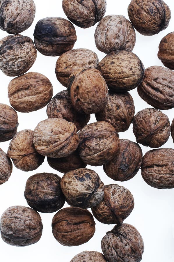 Nut For Sweet Dessert Taste! Stock Image - Image of food, team: 3965625