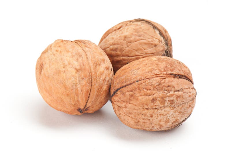 Nut on white background stock photo. Image of three, healthy - 51377288