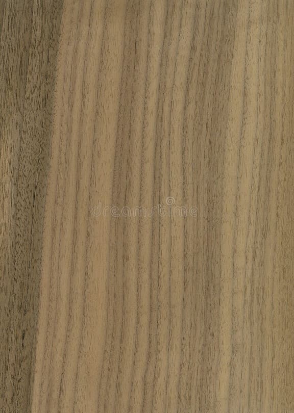 Nut wood veneer texture stock photo. Image of decorative - 18614482