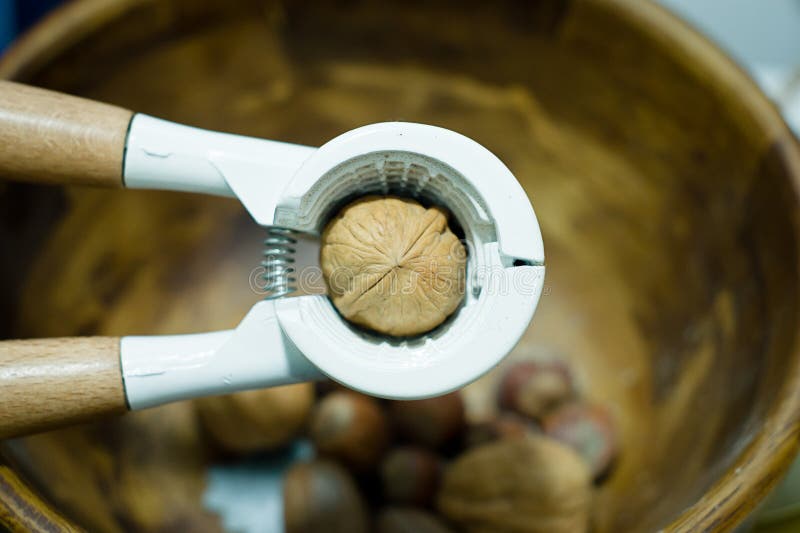 Nutcracker stock image. Image of food, brown, healthy - 24291359