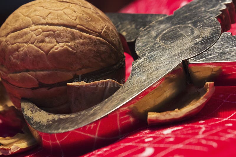 Nutcracker stock image. Image of kitchen, nutshell, food - 28419307