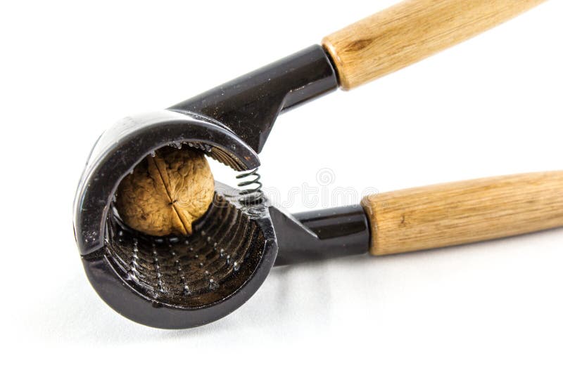 Nutcracker stock photo. Image of walnuts, food, wood - 61420002