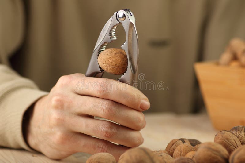 Nutcracker in Hand Over the Table Stock Photo - Image of food, wood ...