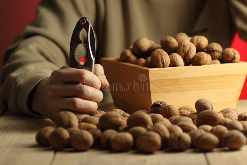 Nutcracker in hand stock photo. Image of person, right - 265568110