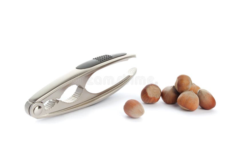 Nutcracker with Hazelnut Isolated on White Background with Shadow ...