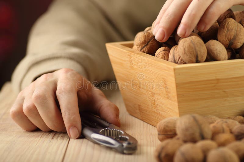 Nutcracker held in hand stock image. Image of person - 265571023